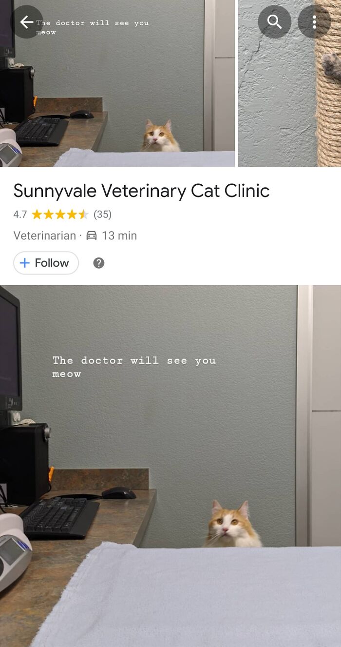 59 bizarre and funny snapshots found on Google Maps