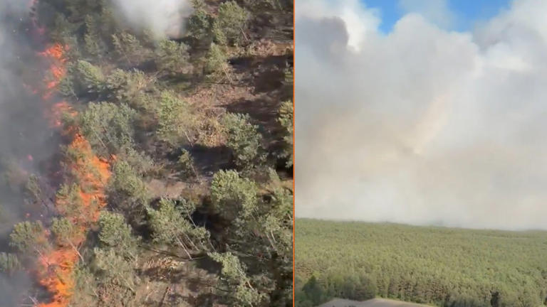Black Hawk i Dromadery walczą z ogniem. Pożar hektarów lasu pod Warszawą