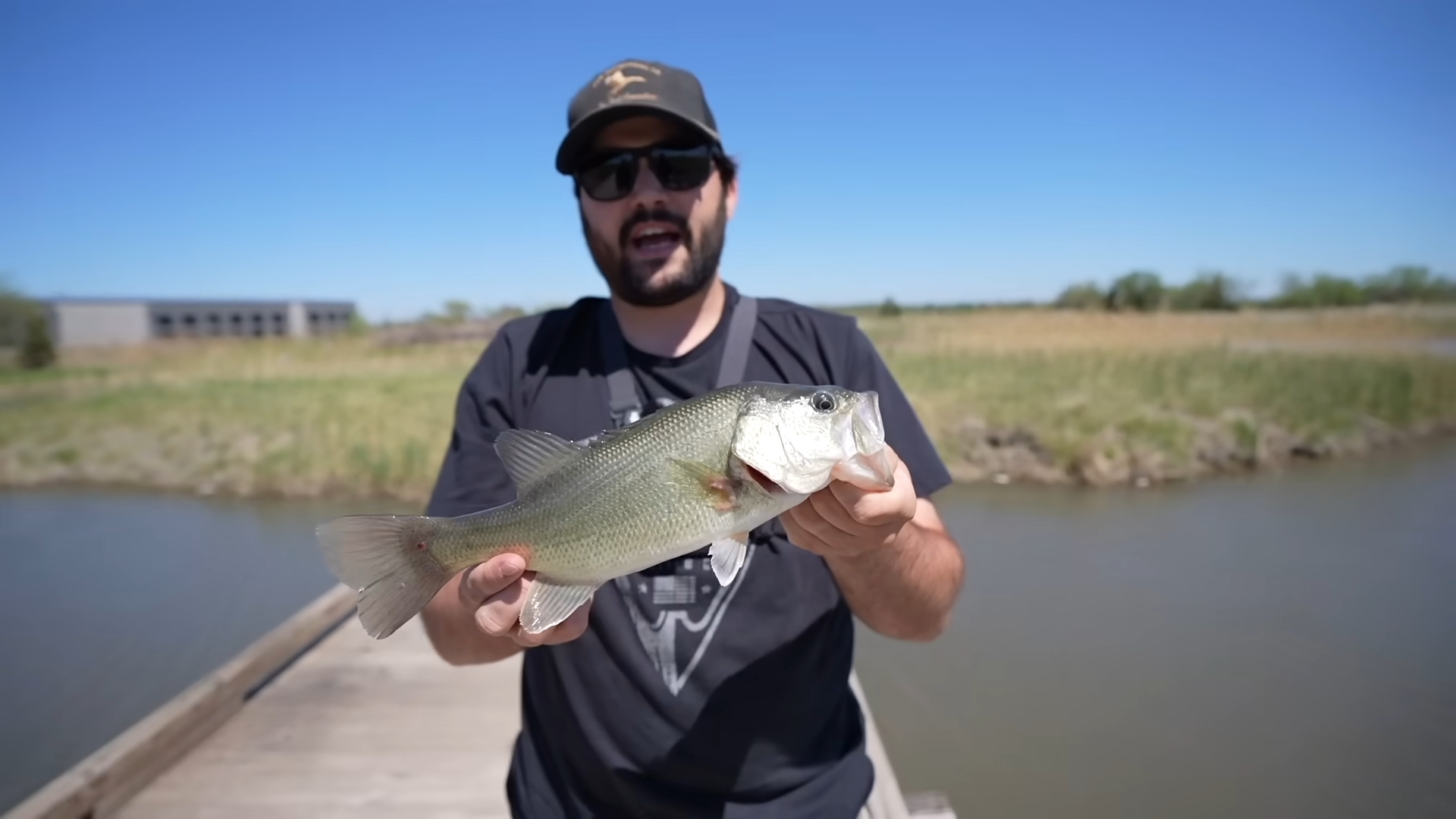 Can this fish truck bring my backyard pond back to life?