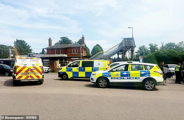Man in his 40s is killed by train after escaping from custody van on ...
