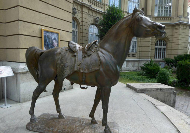 35 kilométert vágtatott a hűséges ló, hogy megvigye a győri vereség ...