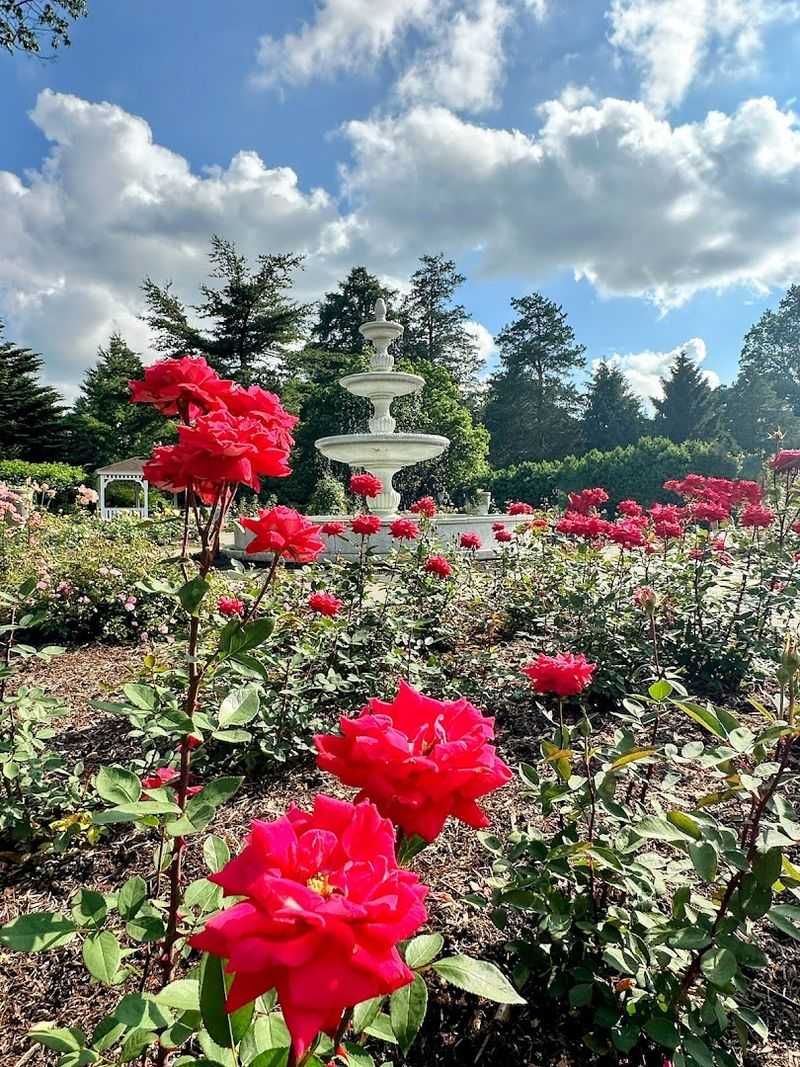 This secluded New Jersey estate offers the most breathtaking rose ...