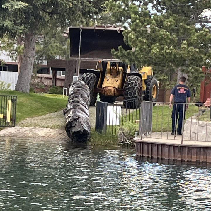 A 50-foot log removed from Tahoe Keys Homeowners Channel
