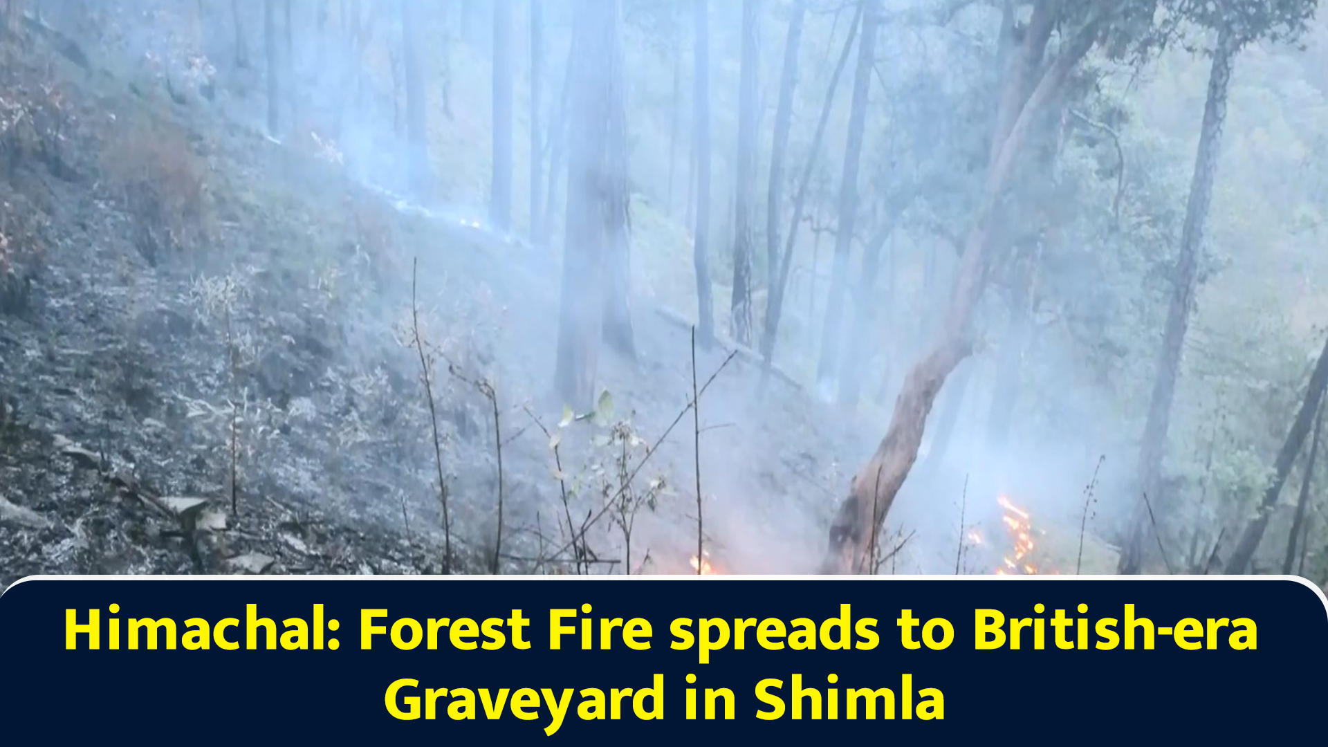 Himachal: Forest fire spreads to British-era graveyard in Shimla