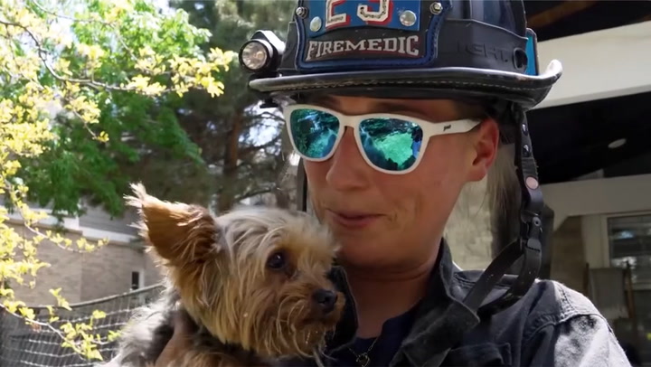 Caught on camera: Firefighters rescued Yorkie trapped under deck