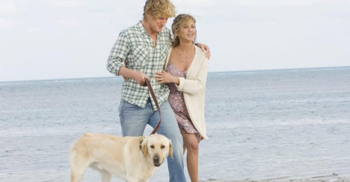The 15 most beloved movies about friendship between humans and animals