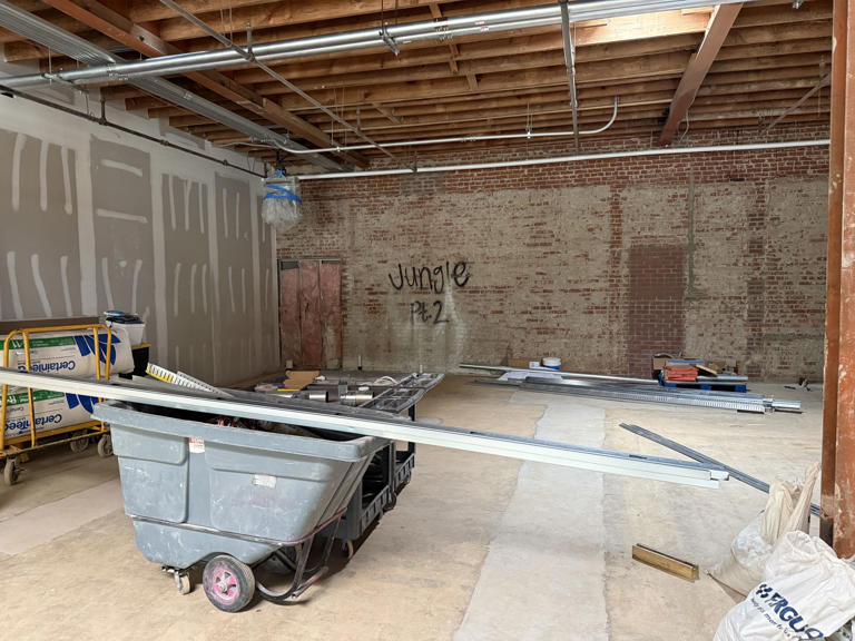 Fitness studio Jungle expands to keep up with demand for heated classes