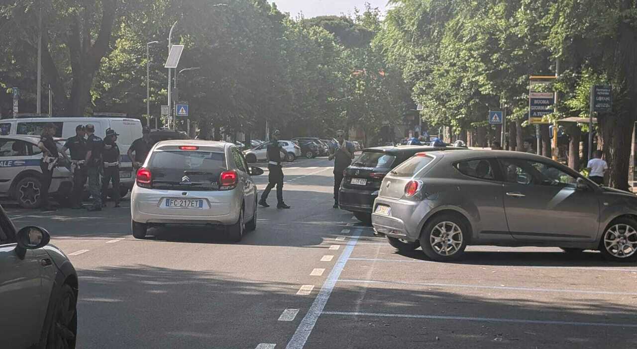 Viale Trento, cane morde un passante e scoppia una furiosa lite