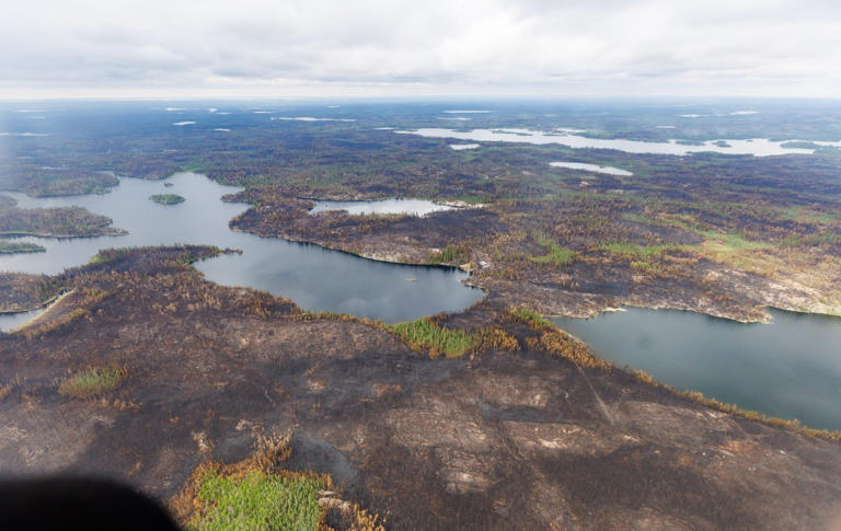 Wildfire forecast anticipates high risk for new wildfires in BC ...