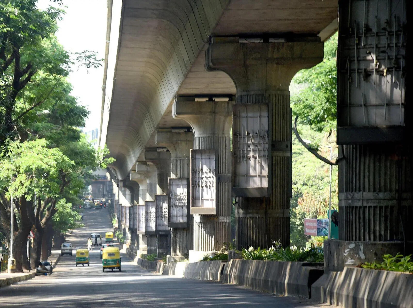 Rain risk: 890 trees shadow Bengaluru metro tracks, 100 too close for ...