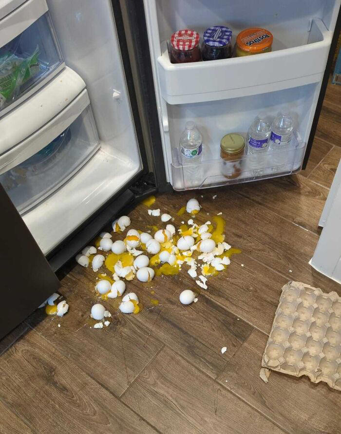 I’m never going to recover from this: 73 hilariously bad kitchen fails