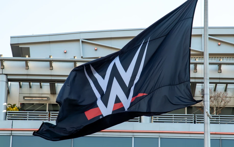 Judge sanctions WWE leaders over deleted merger messages