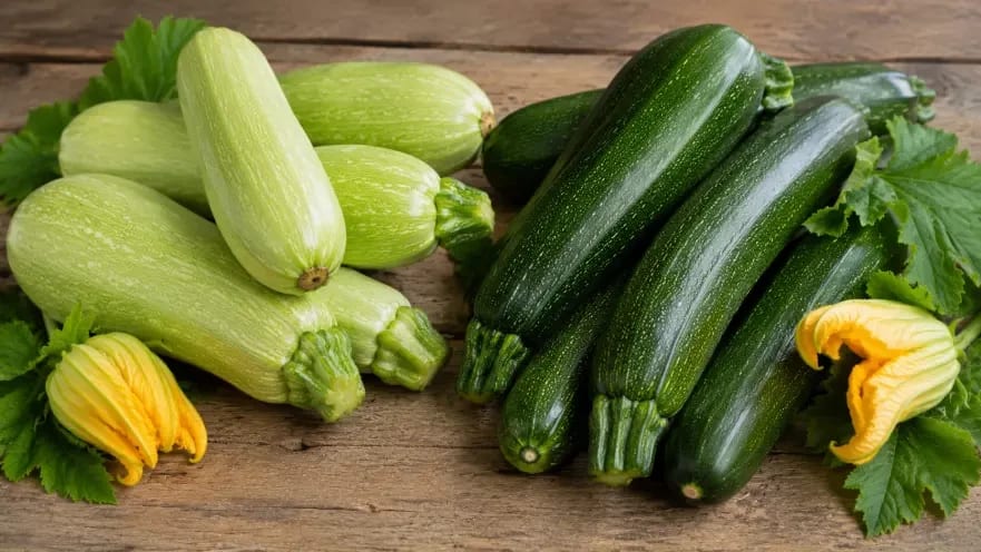 The end of confusion: Zucchini and light zucchini – and the truth that ...