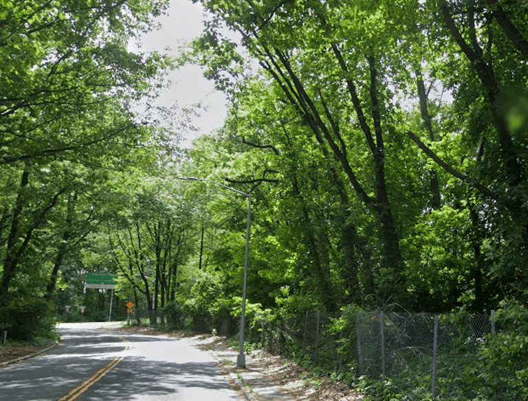 Woman found dead off roadway near Queens park