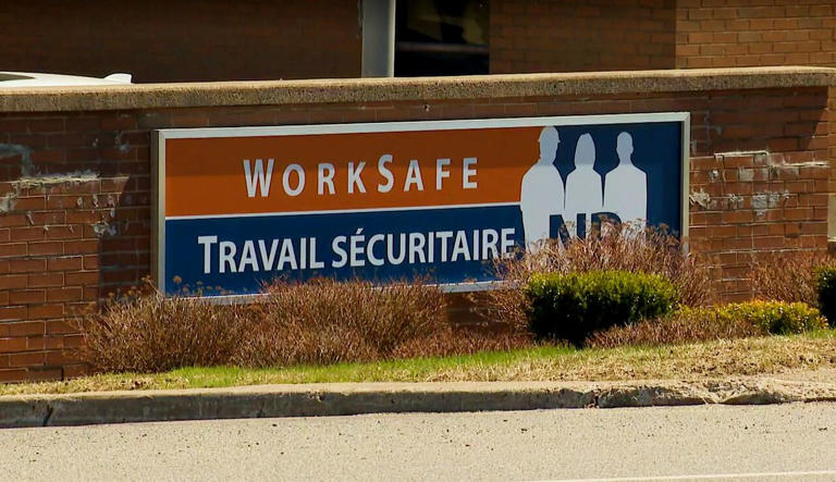Arborist died after being electrocuted on job, WorkSafeNB says