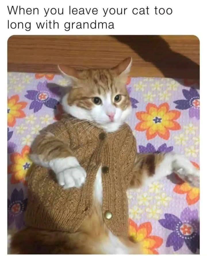 The best heartwarmingly wholesome memes and posts of the week