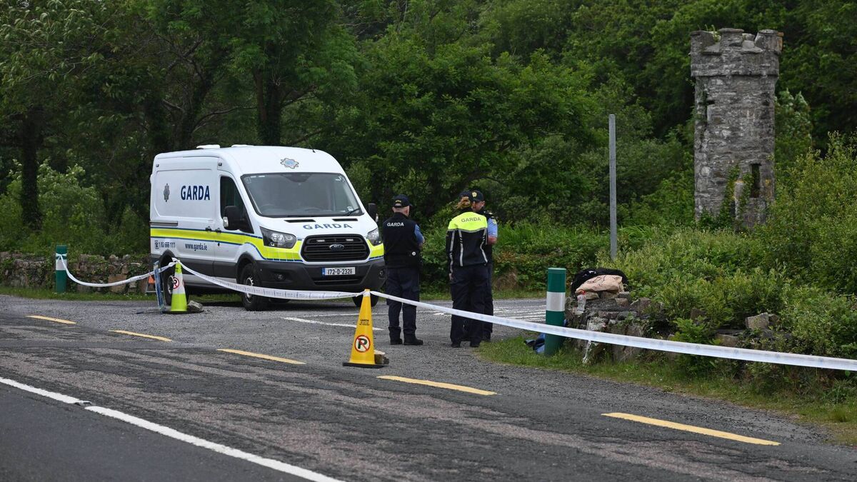 Suspect arrested after mother's body discovered near Clifden centre for ...