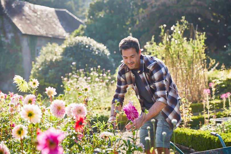 Plants 'spy' on neighbours by sniffing them out in bid to grow bigger ...