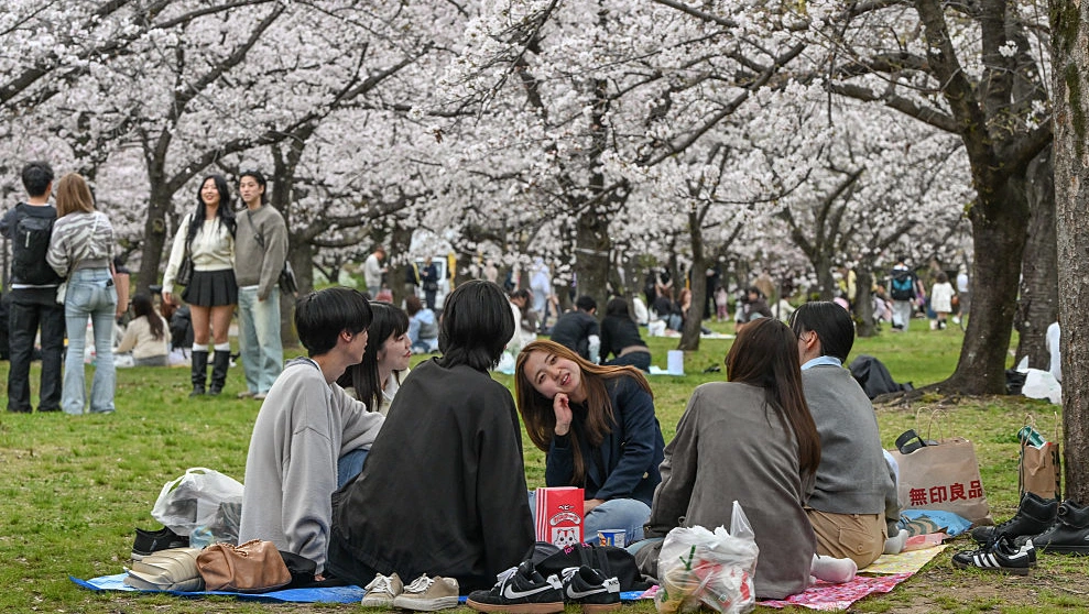 Falling in love with Japanese culture and etiquette