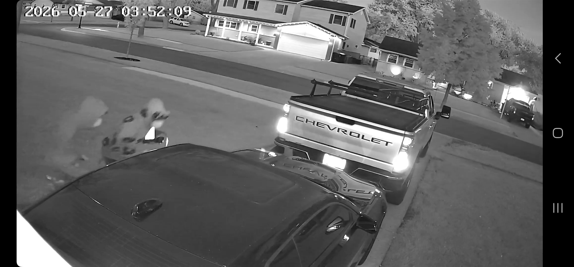 Watch: Security cams capture moment suburban homeowner scared away ...