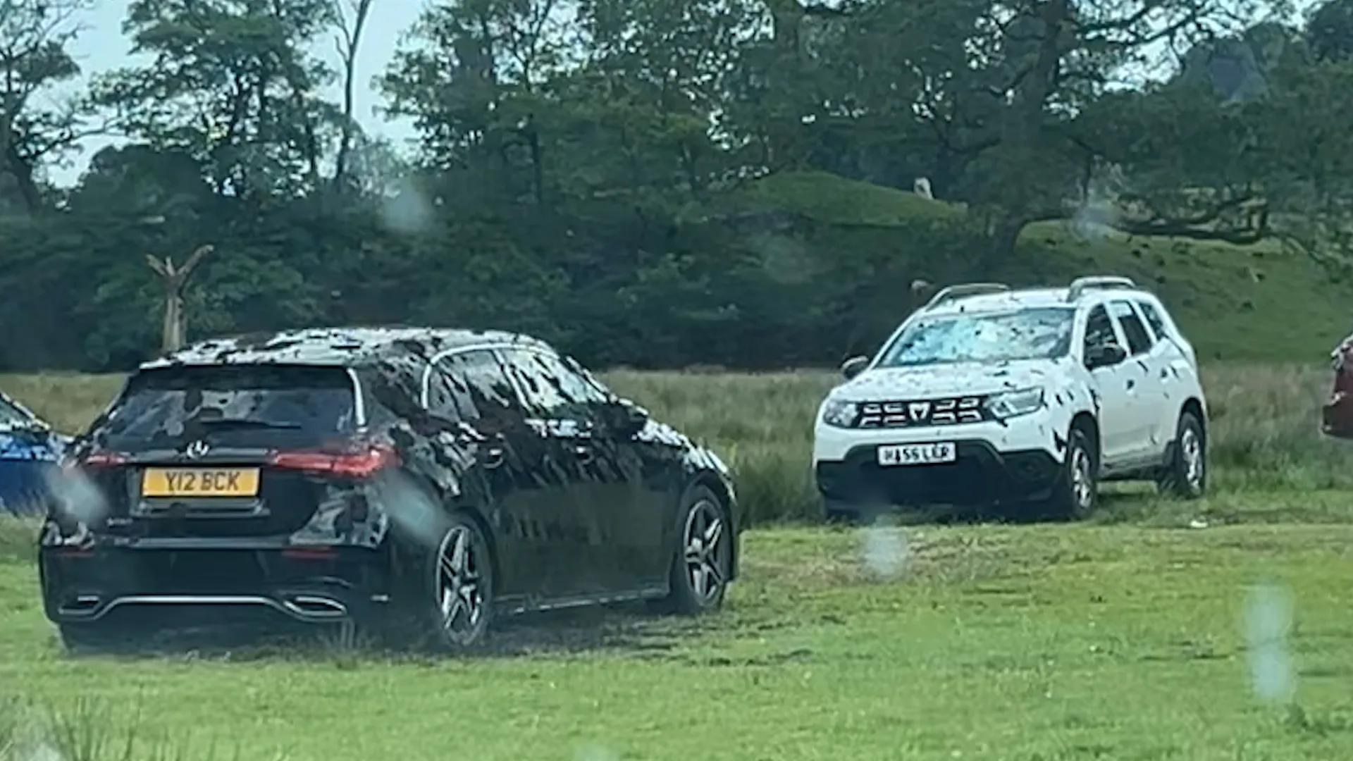 Farmer sprays slurry on cars parked illegally on field in Lake District