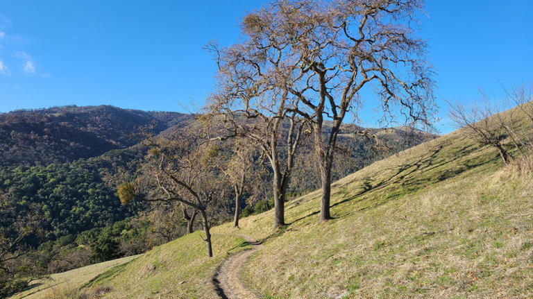 Forget Yosemite National Park, visit this underrated preserve for ...