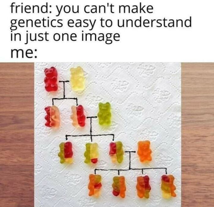 33 funny memes that might actually teach you something