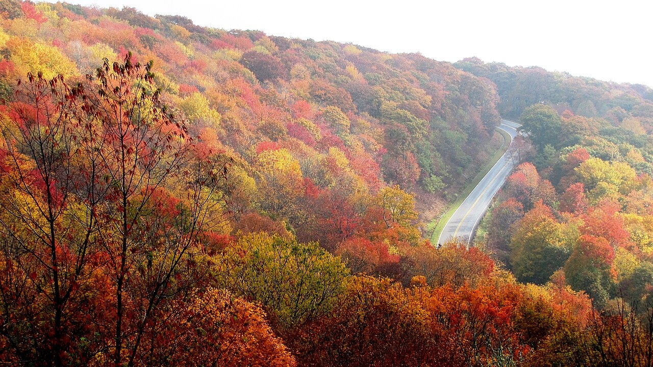 This Tennessee highway climbs 4,000 feet and disappears into the clouds