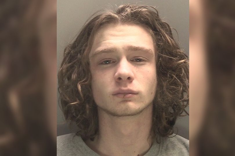 He said he'd 'happily do 20 years to life' before stabbing and slashing ...