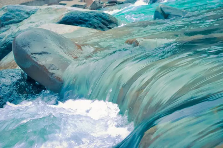 Why a moving water feature is the ultimate magnet for migrating birds