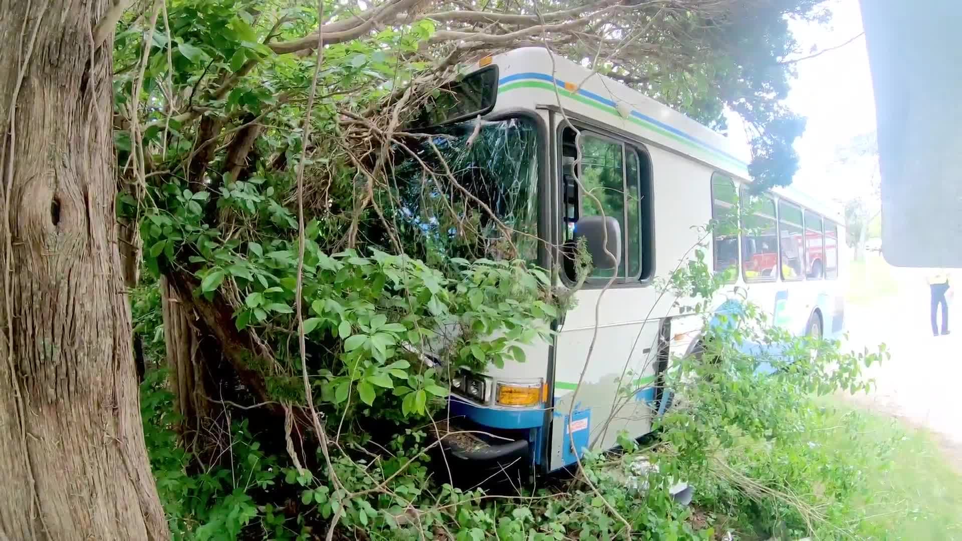5 hospitalized after bus crashes through fence, collides with trees on ...