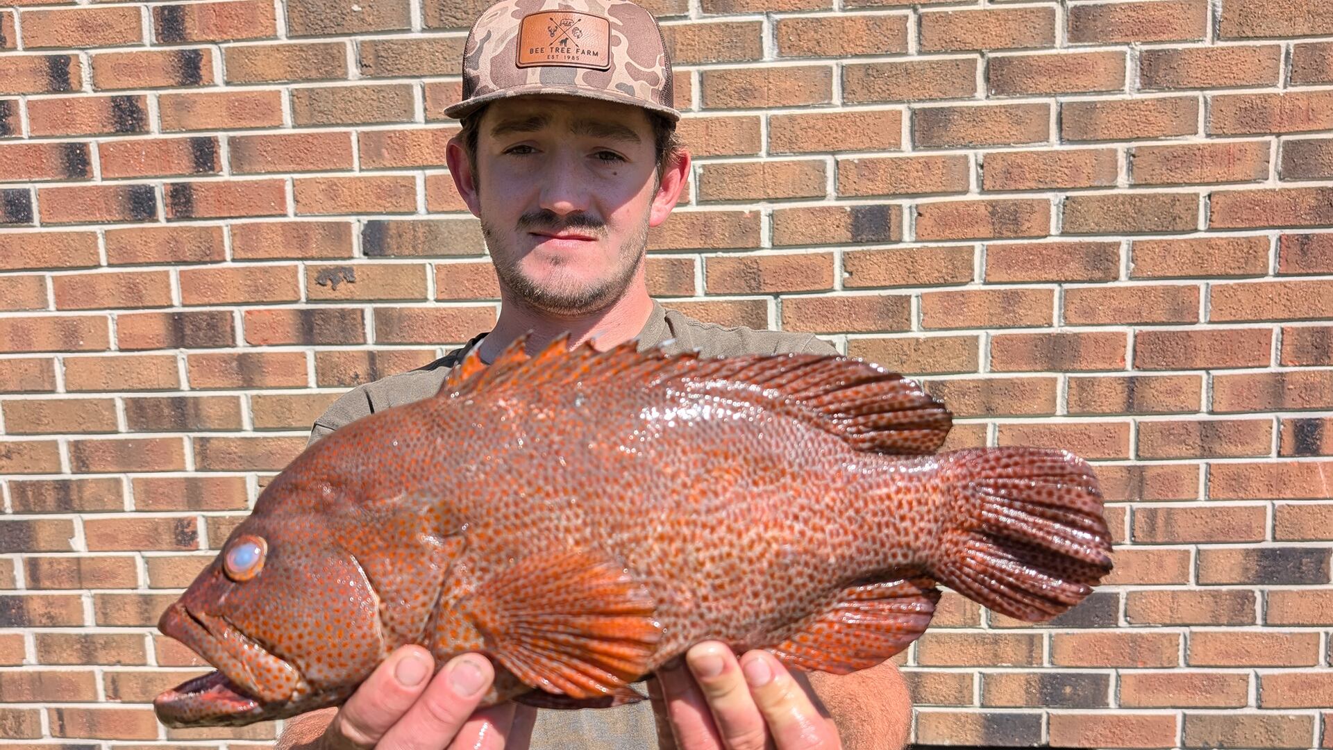 State certifies new record for graysby grouper caught off Southport