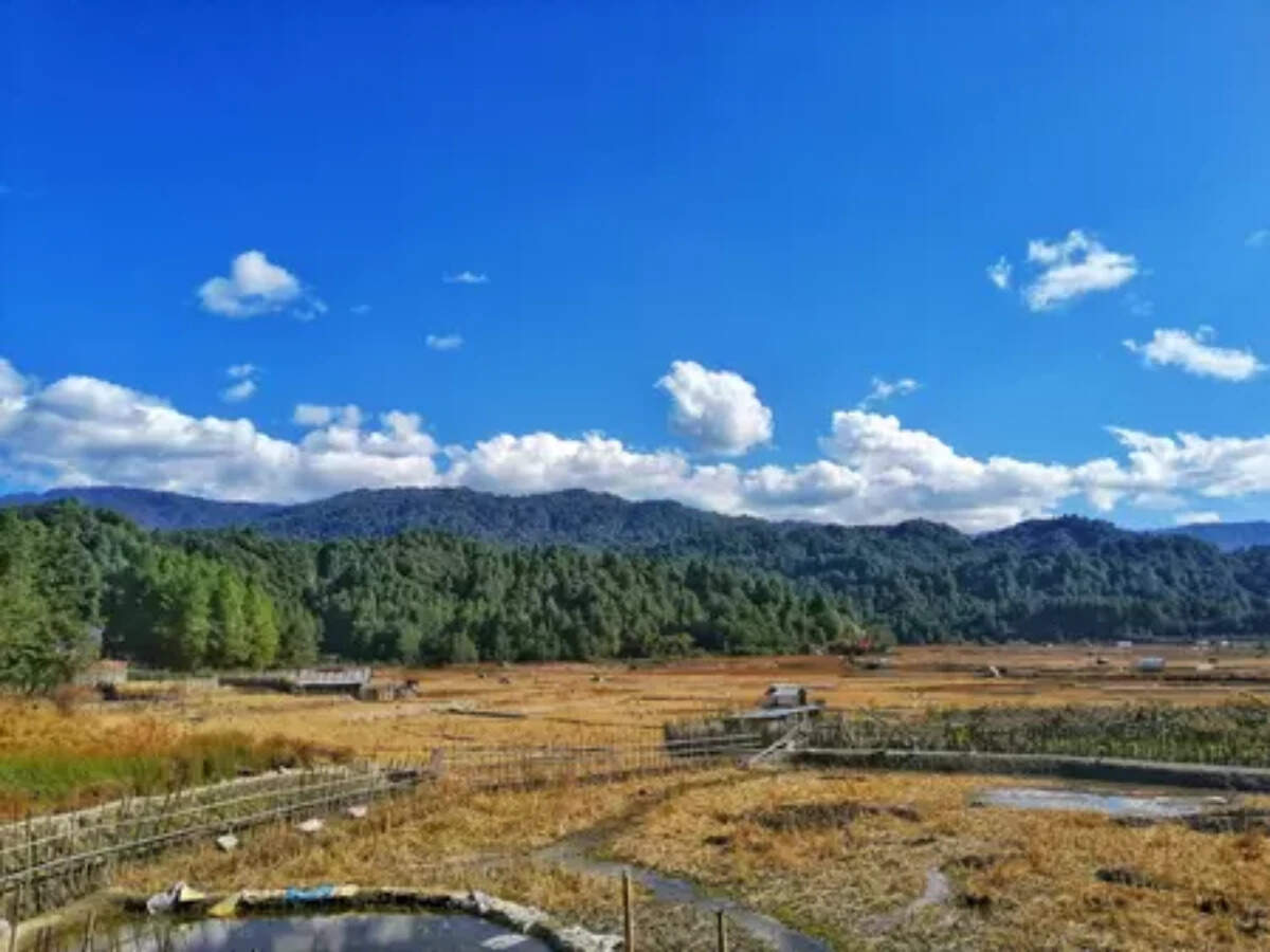 Environment ministry's advisory panel gives nod for forest diversion to ...