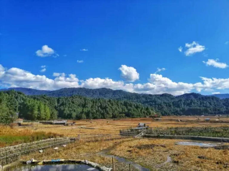 Environment ministry's advisory panel gives nod for forest diversion to ...