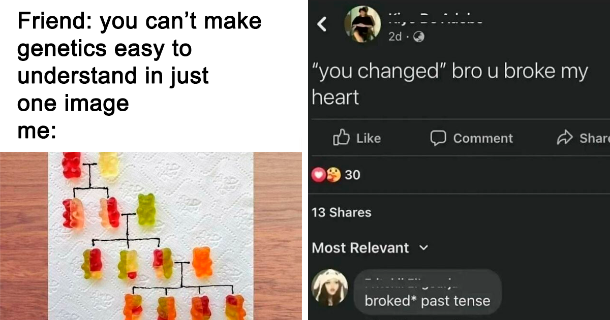 33 funny memes that might actually teach you something