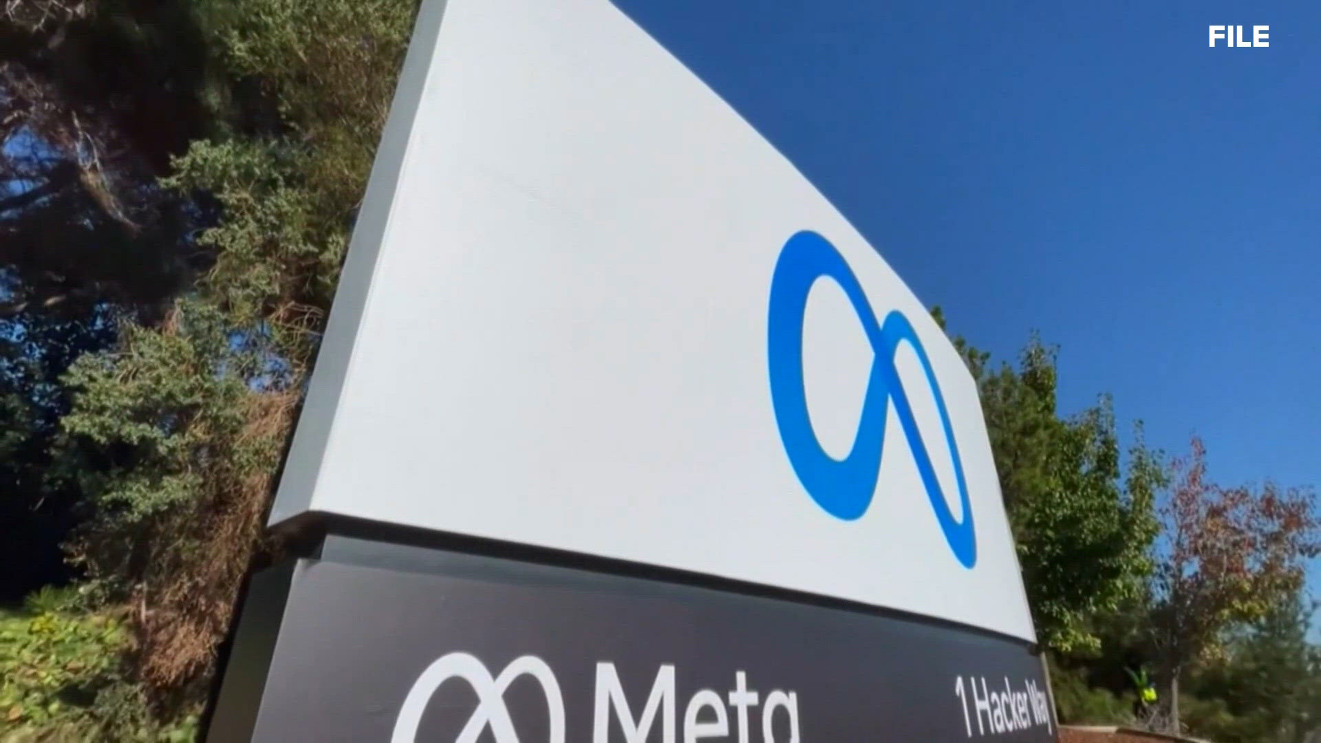 Meta rolling out subscription plans