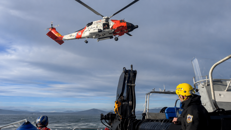 Alaska cleared to resume helicopter bear culling ahead of caribou ...
