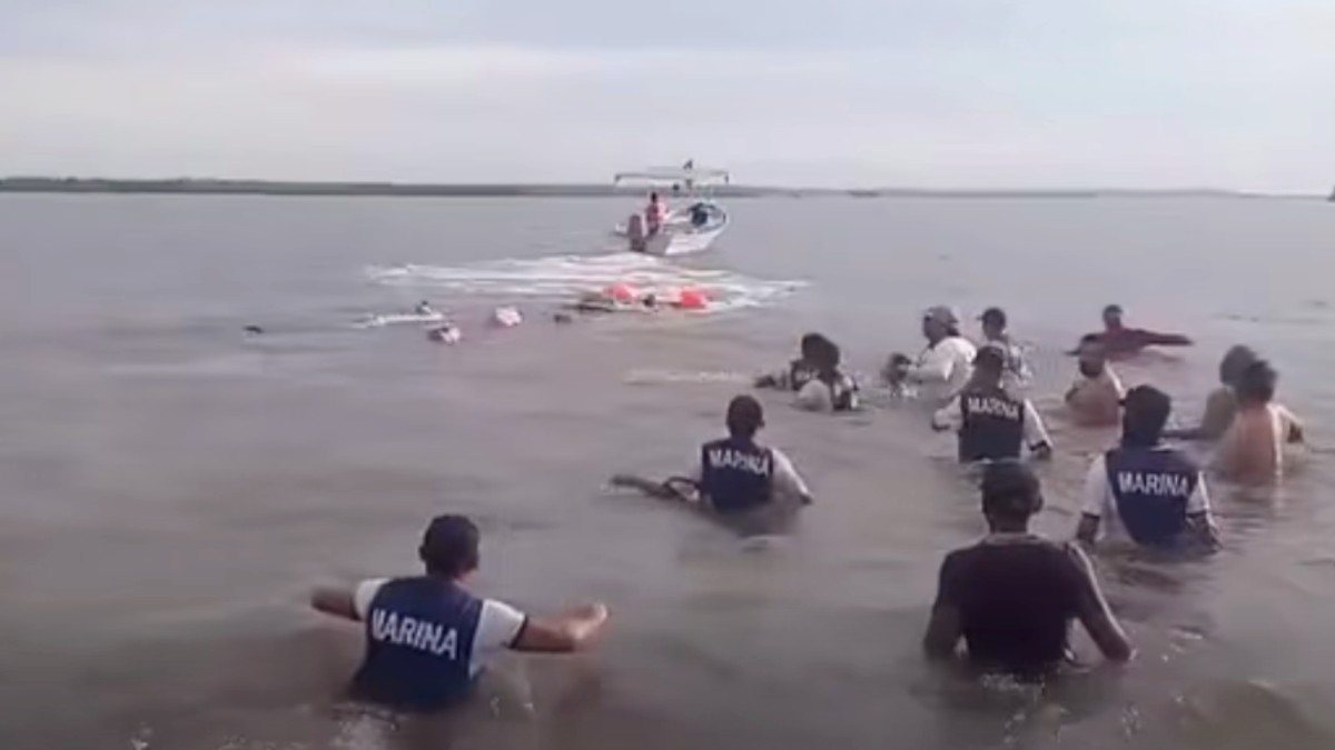 Video | Así fue el momento en que autoridades y pescadores locales ...
