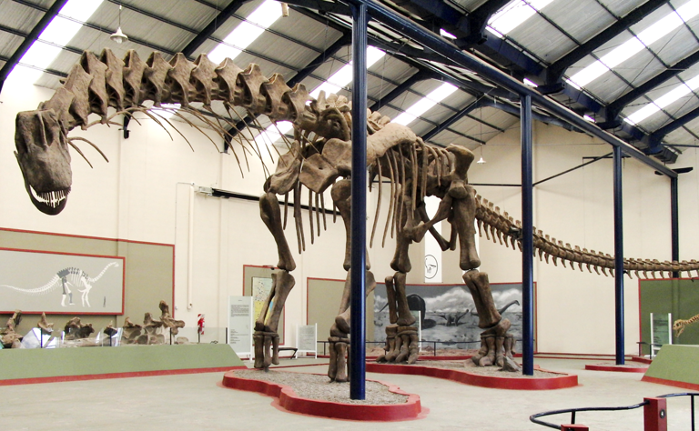 What was the biggest dinosaur? Fragmentary fossils make it hard to tell