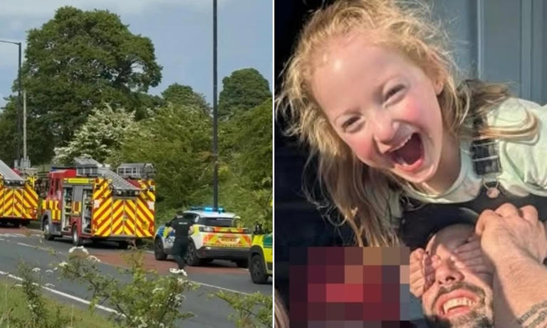 Girl, five, is killed in a half-term crash which left her twin brother ...