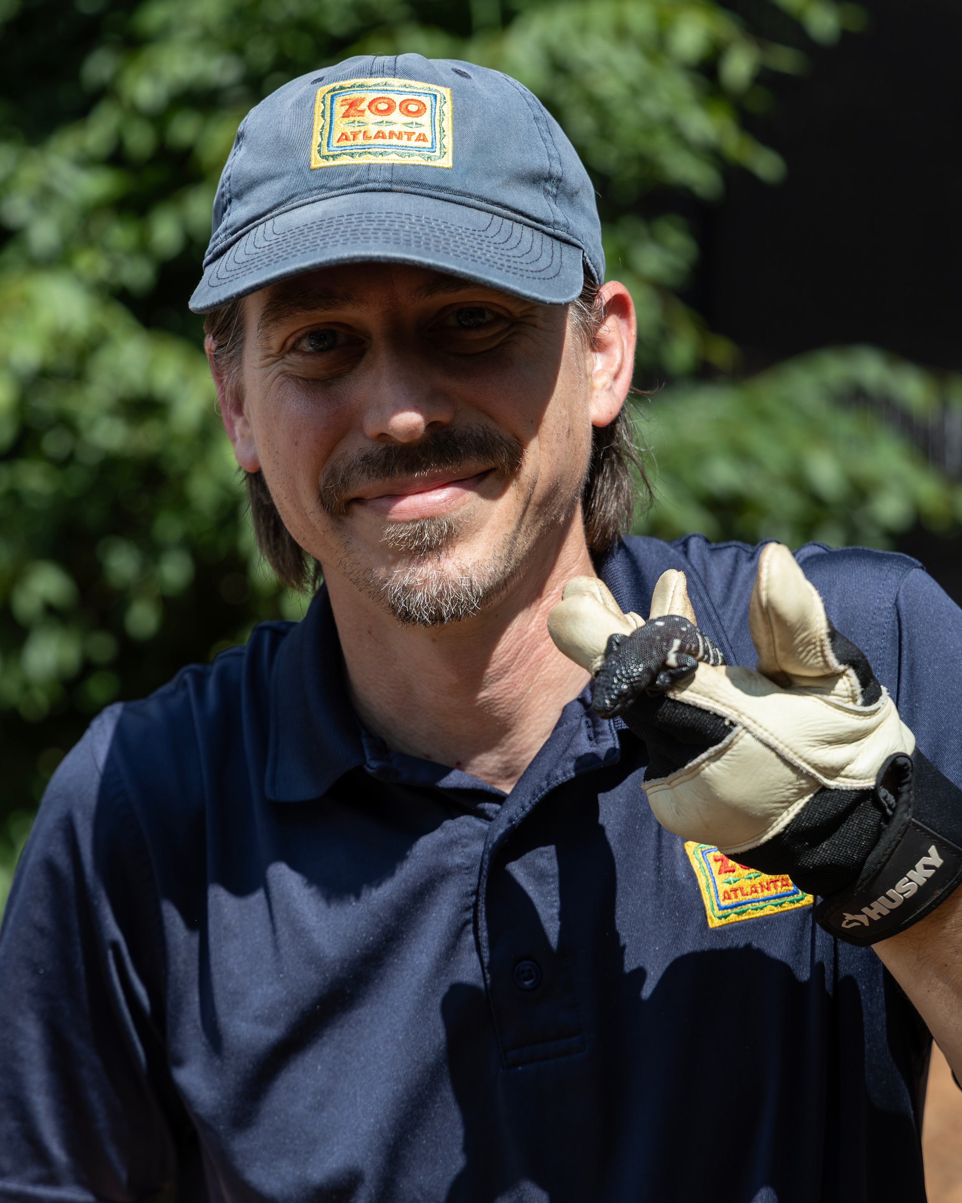 Guatemalan bearded lizards hatch at Zoo Atlanta