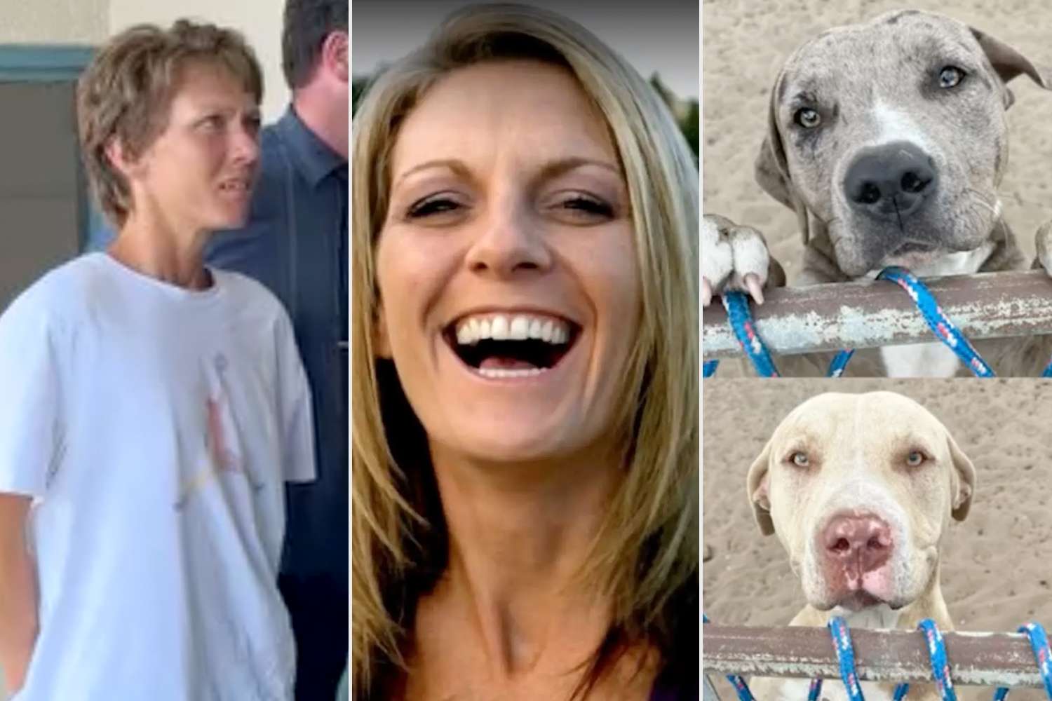 Dog owner faked heart attack during arrest days after pets mauled woman ...