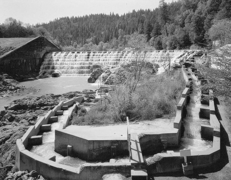 Some animals win, some lose when the Potter Valley Project dams come down