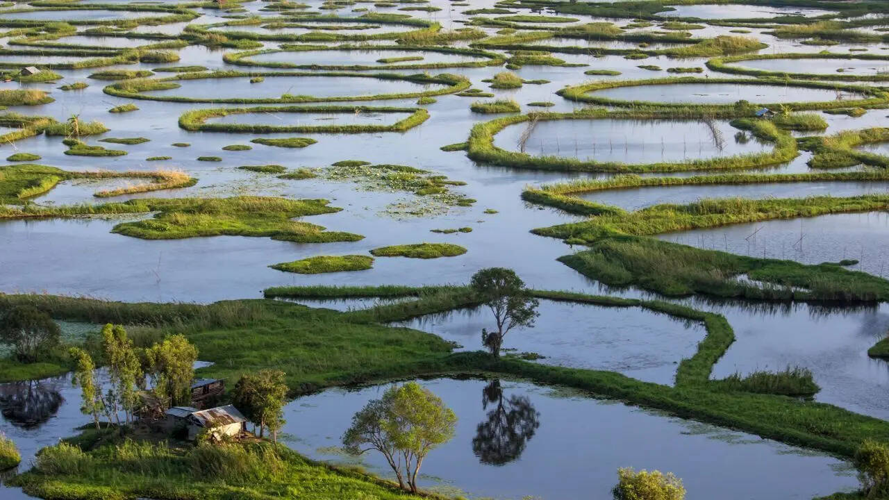 Manipur’s floating wonder: Inside India's mystical Loktak Lake