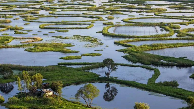 Manipur’s floating wonder: Inside India's mystical Loktak Lake