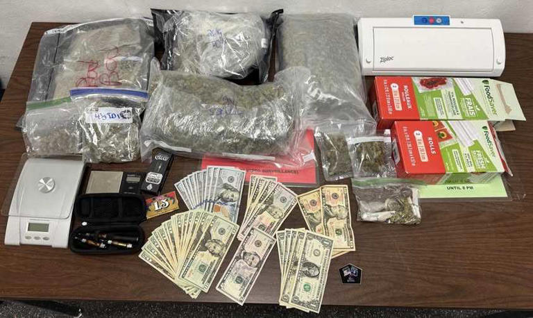 Upstate drug bust turns up marijuana, cash, deputies say