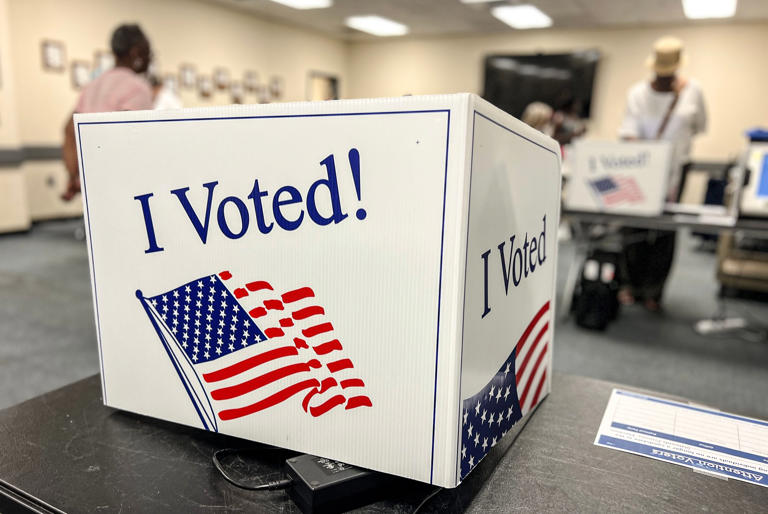 Anderson County voters to weigh in on Statehouse races. Who's on ballot?