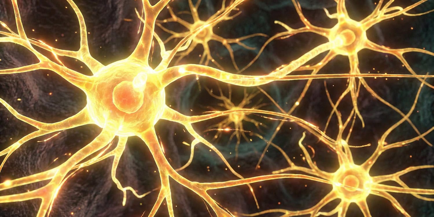 Nanoplastics cause abnormal branch growth in neurons