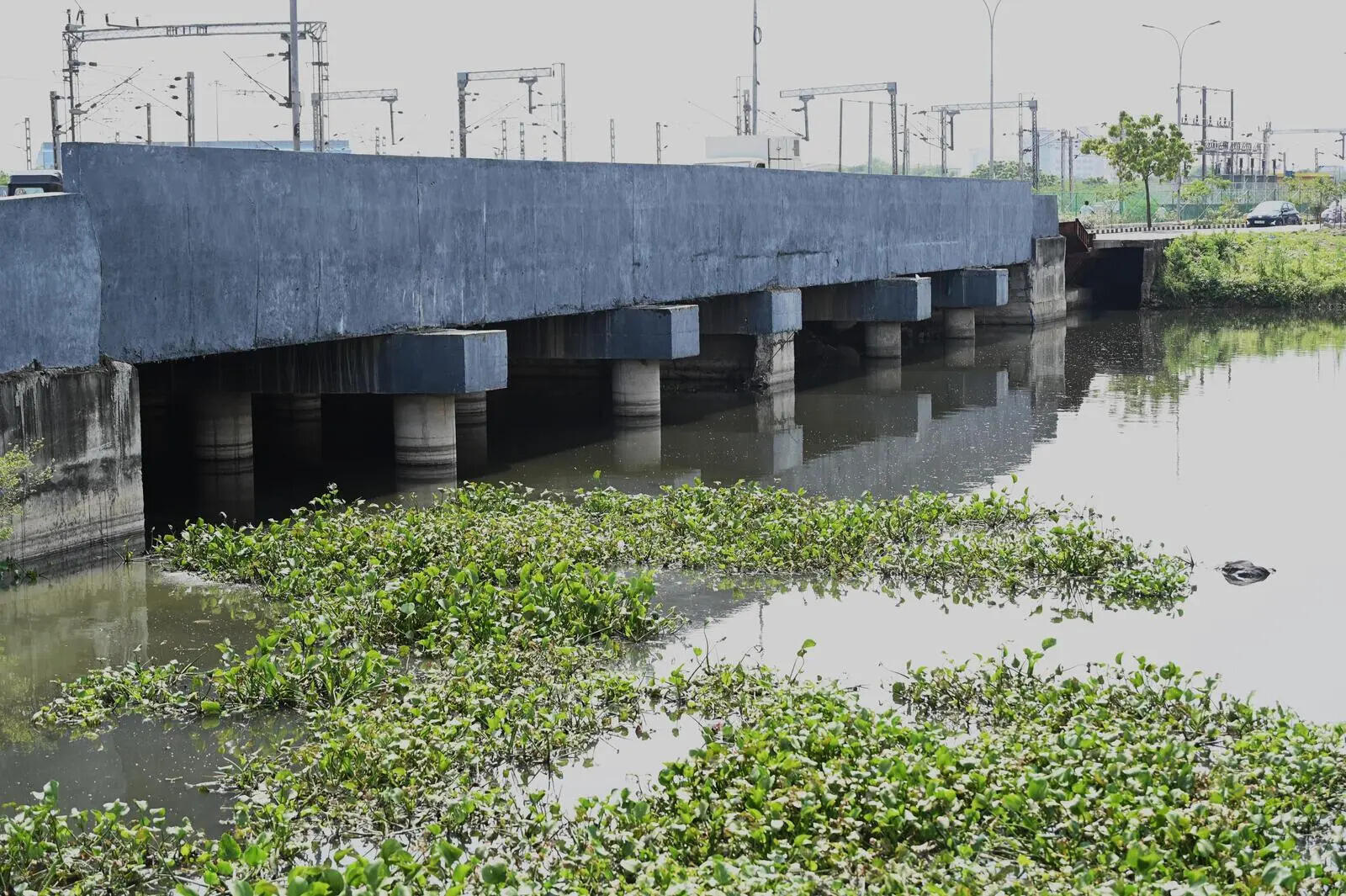 Velachery residents oppose eco park project along six-vent culvert
