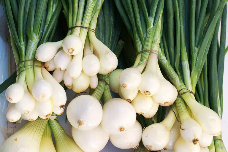 How to tell spring onions, scallions, garlic scapes, leeks, and ramps apart
